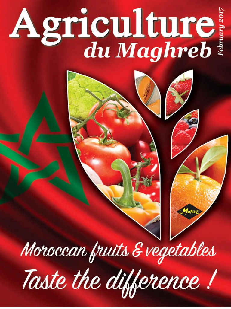 ISSUU PDF DownloaderISSUUSSISSUUSSISSUUS | PDF