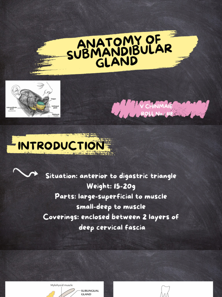 ANATOMY OF SUBMANDIBULAR AND SUBMENTAL GLAND Re | PDF