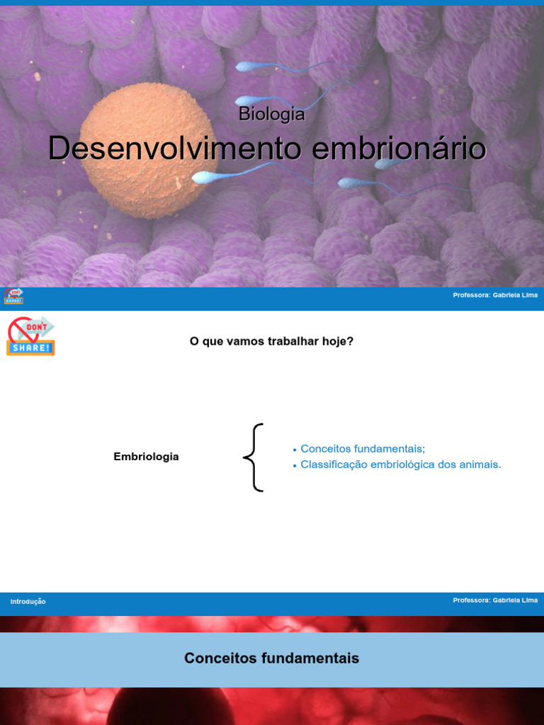 Desenvolvimento Embrionário em Animais | PDF | Ovo | Embrião