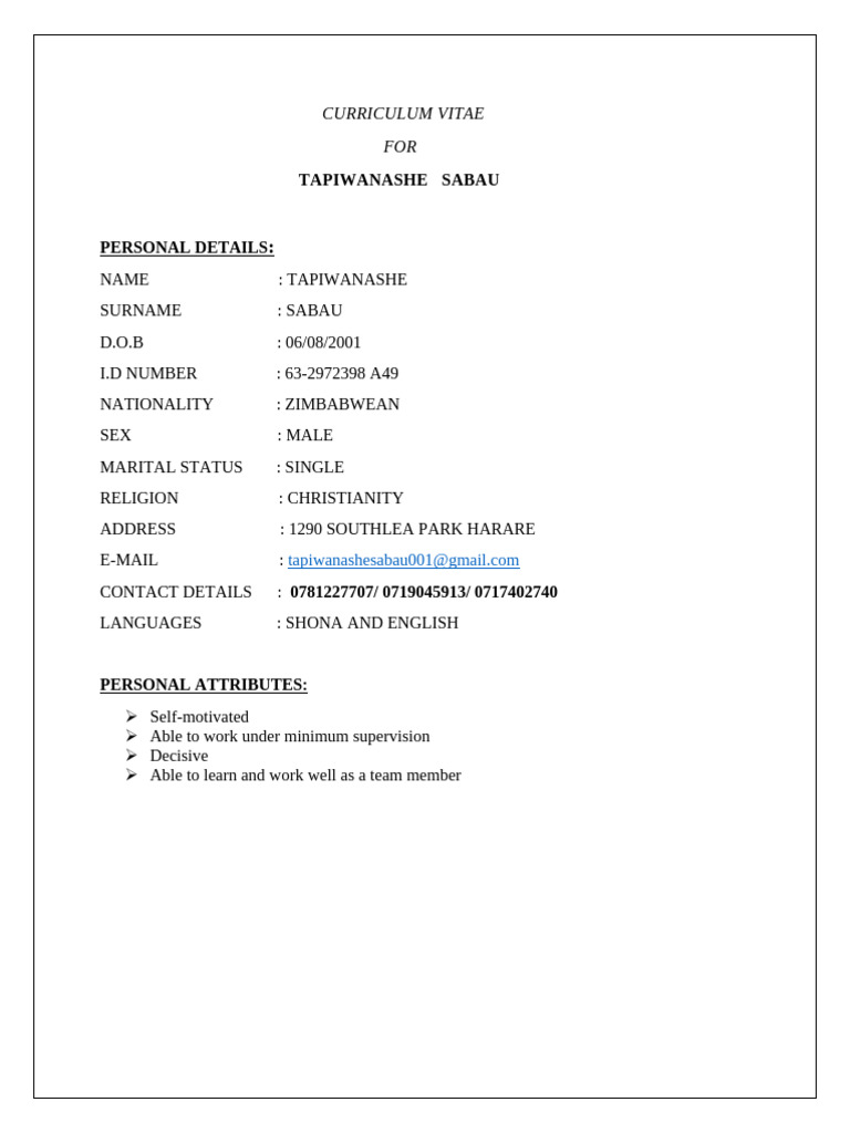 Curriculum Vitae of Tapiwanashe Sabau | PDF