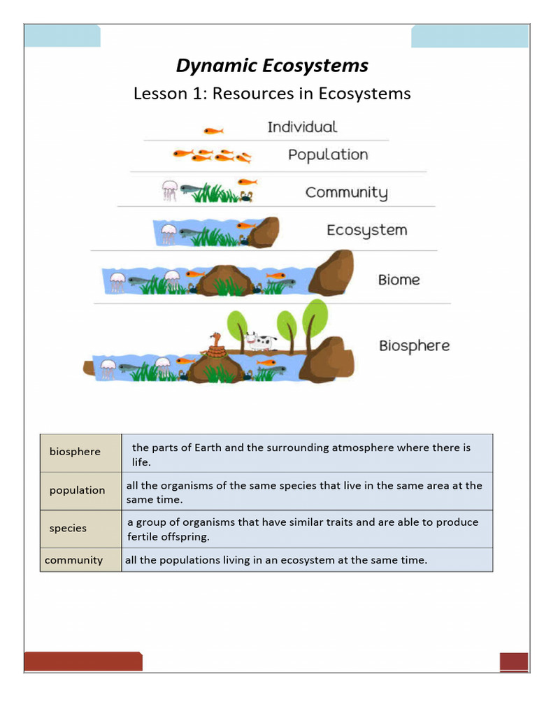 Ecosystem Resources and Population Dynamics | PDF | Ecosystem | Natural ...