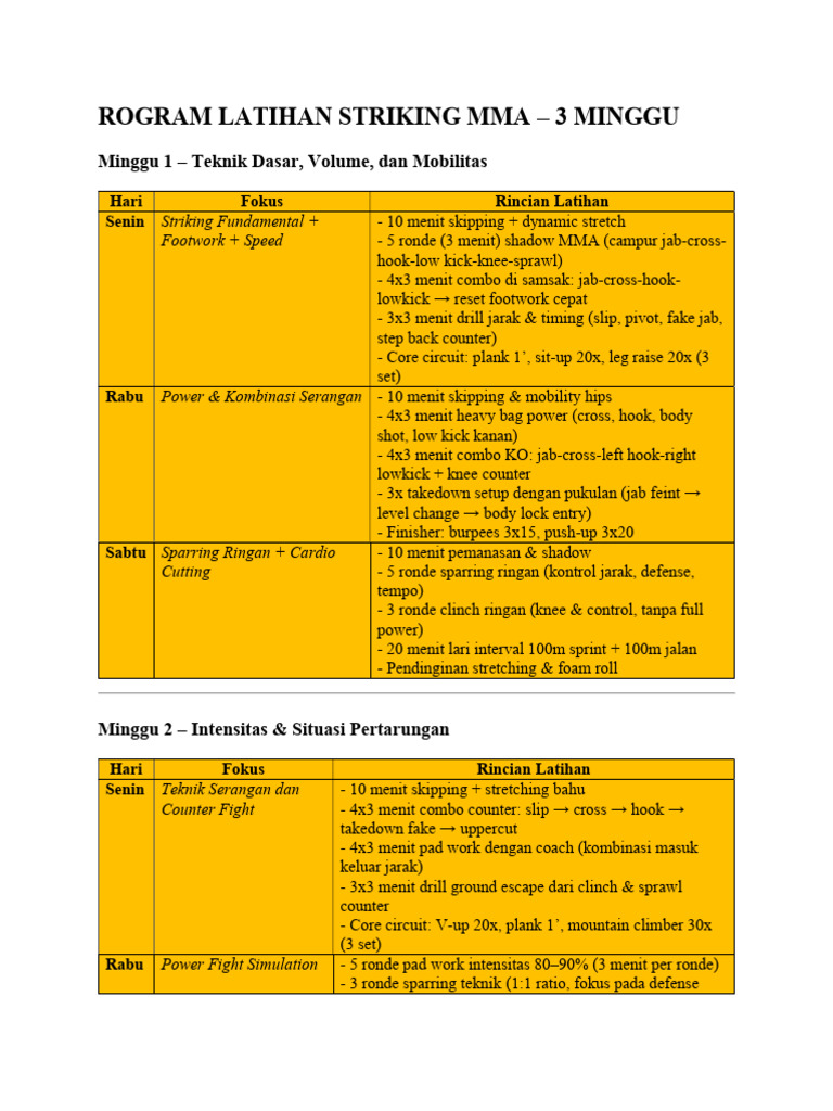 3-Week MMA Striking Training Program | PDF | Individual Sports