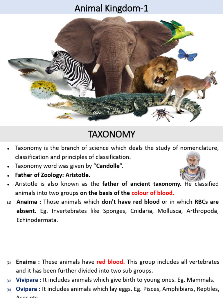 Overview of Animal Taxonomy and Classification | PDF | Anatomy | Biology