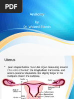 Anatomy of Female Reproductive Ligaments | PDF | Uterus | Ovary