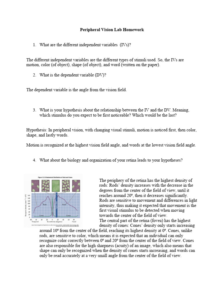 Understanding Peripheral Vision Stimuli | PDF