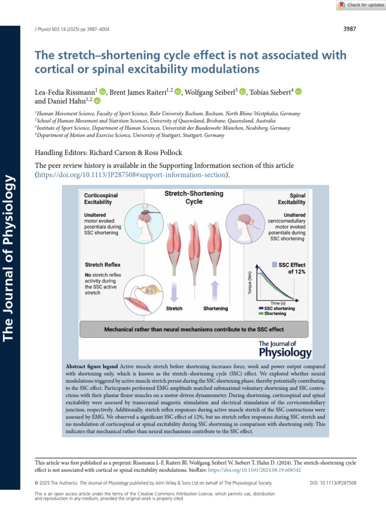 The Journal of Physiology - 2025 - Rissmann - The Stretch Shortening Cycle Effect Is Not ...