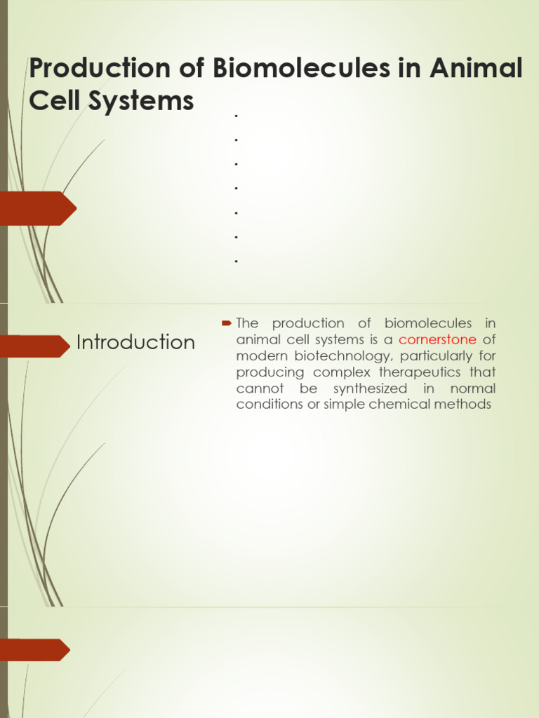 Production of Biomolecules in Animal Cell Systems | PDF | Endoplasmic ...