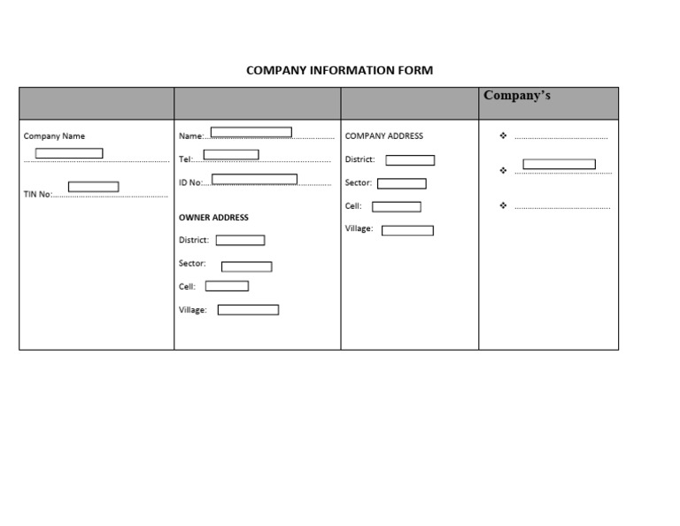 Company Information Form 1 | PDF