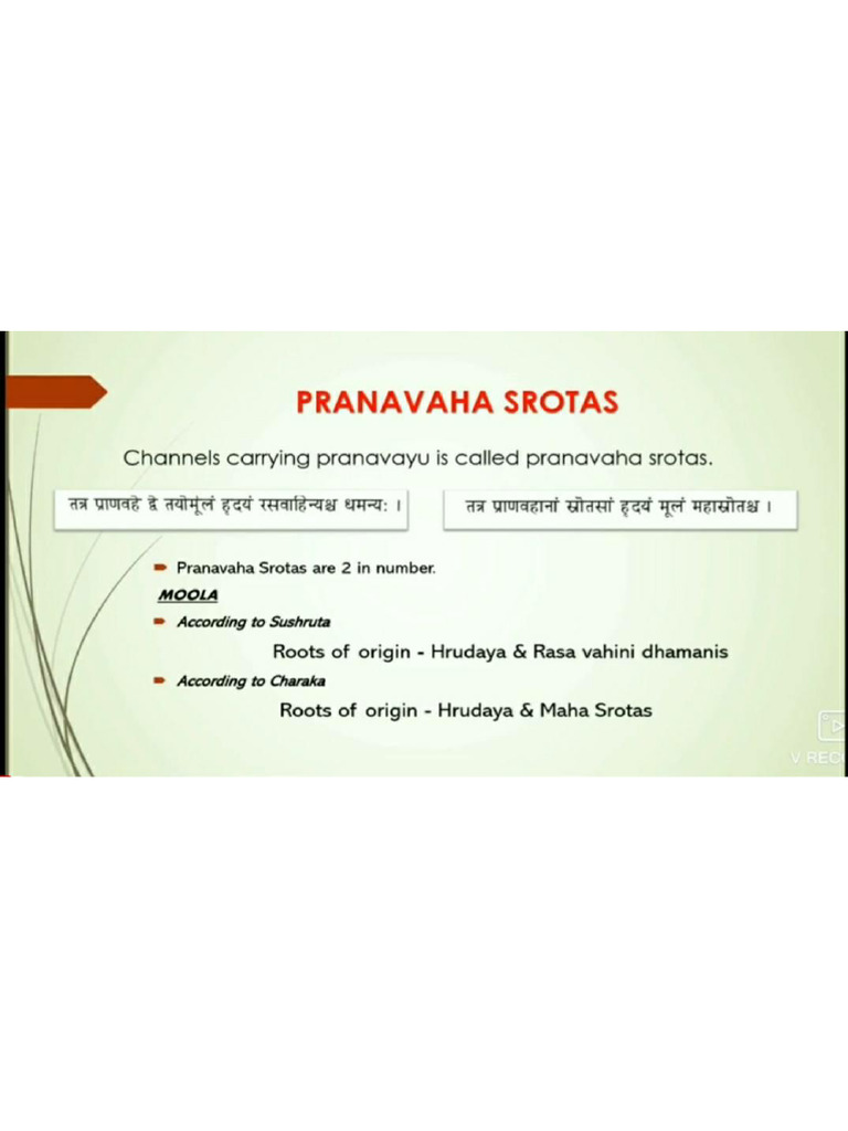 Srotas | PDF