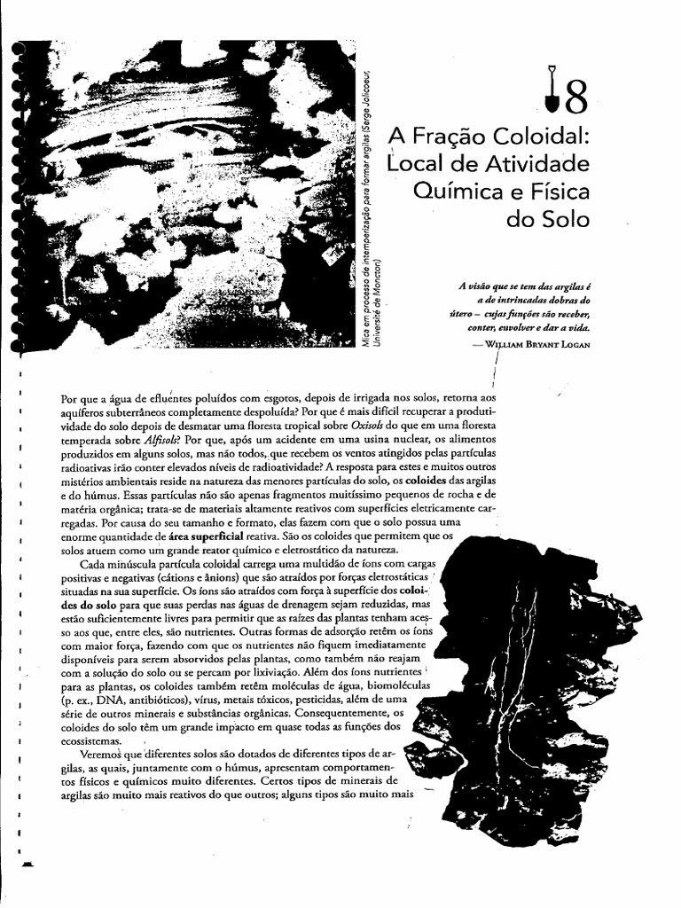 Propriedades dos Coloides do Solo | PDF | Coloide | Solo