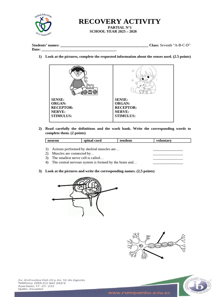 Recovery Activity 7th Partial1-9751761760235 | PDF