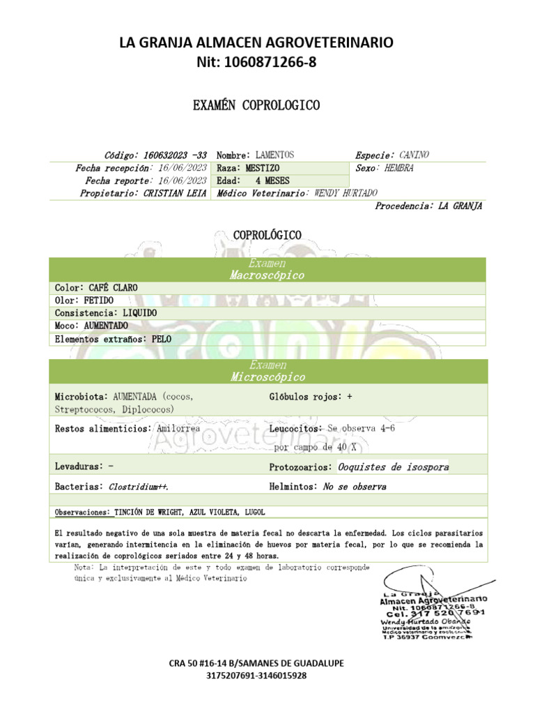 Examen Coprológico Canino: Resultados y Observaciones | PDF