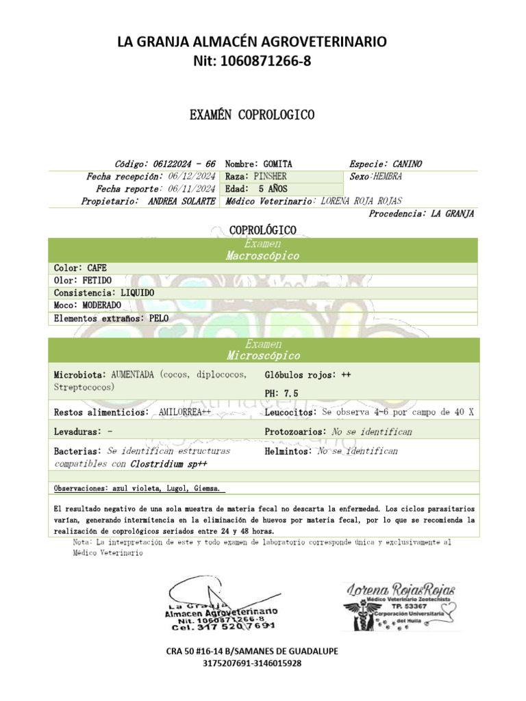 Coprologico Gomita | PDF