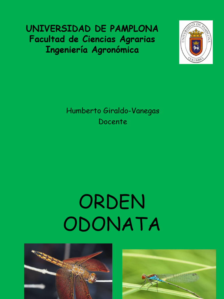 Odonata | PDF