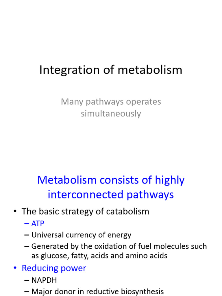 Metabolic Pathways: Control and Integration | PDF | Glycolysis ...