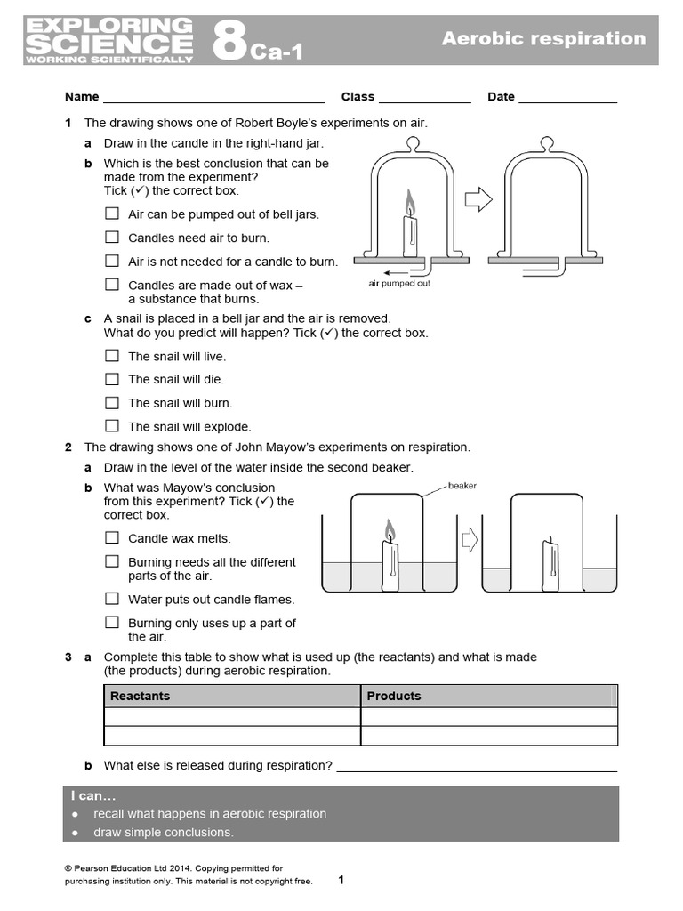 Aerobic Respiration Experiment Insights | PDF