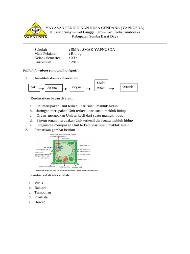 Soal Biologi Kelas XI SMA YAPNUSDA | PDF
