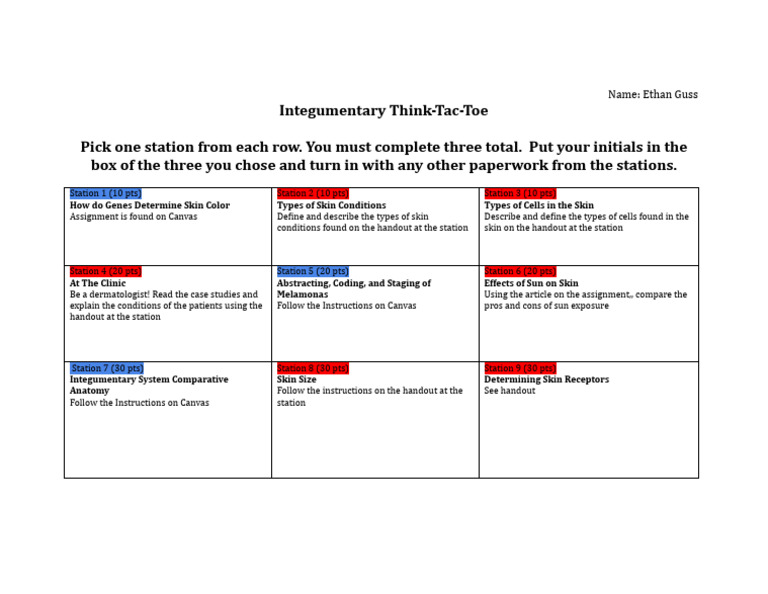 Integumentary System Think-Tac-Toe Guide | PDF