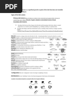 Severity Scoring of Atopic Dermatitis Index SCORAD PDF | PDF ...