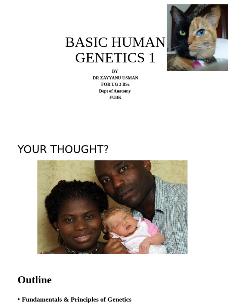 Basic Human Genetics Updated Lect | PDF | Genetics | Gene