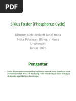 Proses Daur Fosfor di Alam | PDF