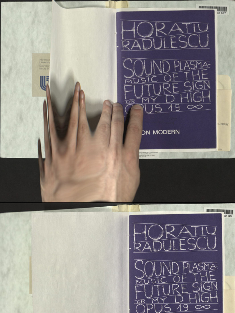 Radulescu Sound Plasma | PDF