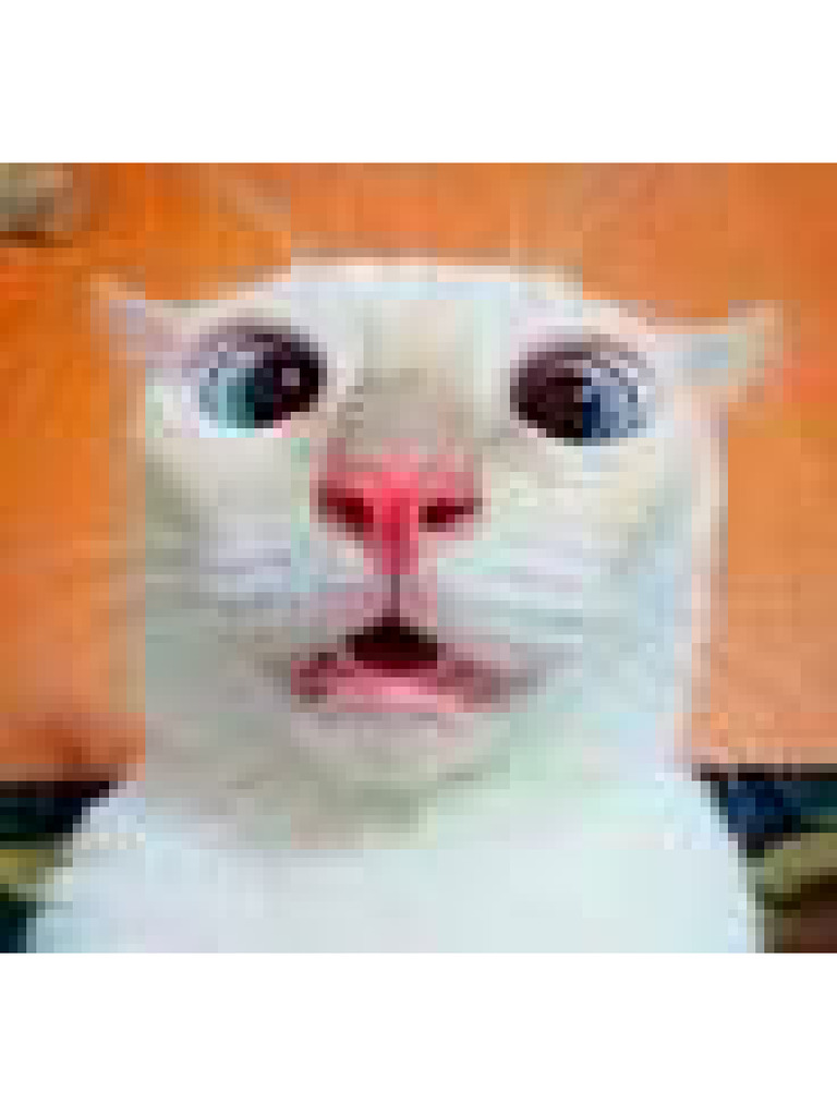 Gato | PDF