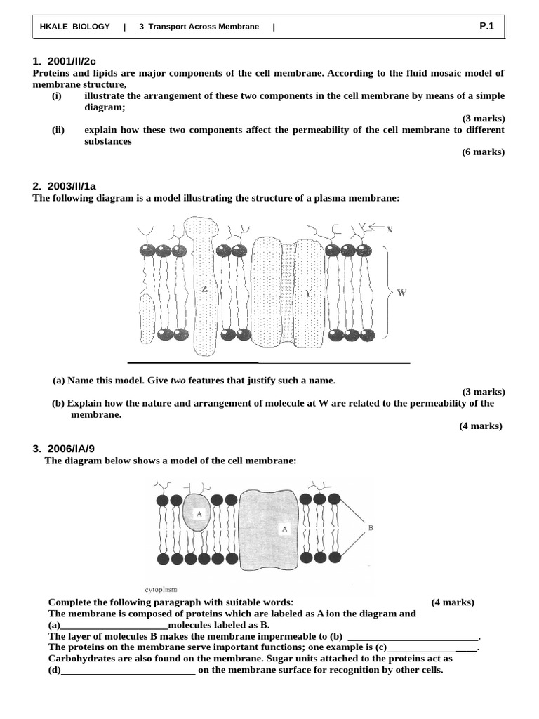Cell Membrane Transport Mechanisms | PDF | Cell Membrane | Cell Biology