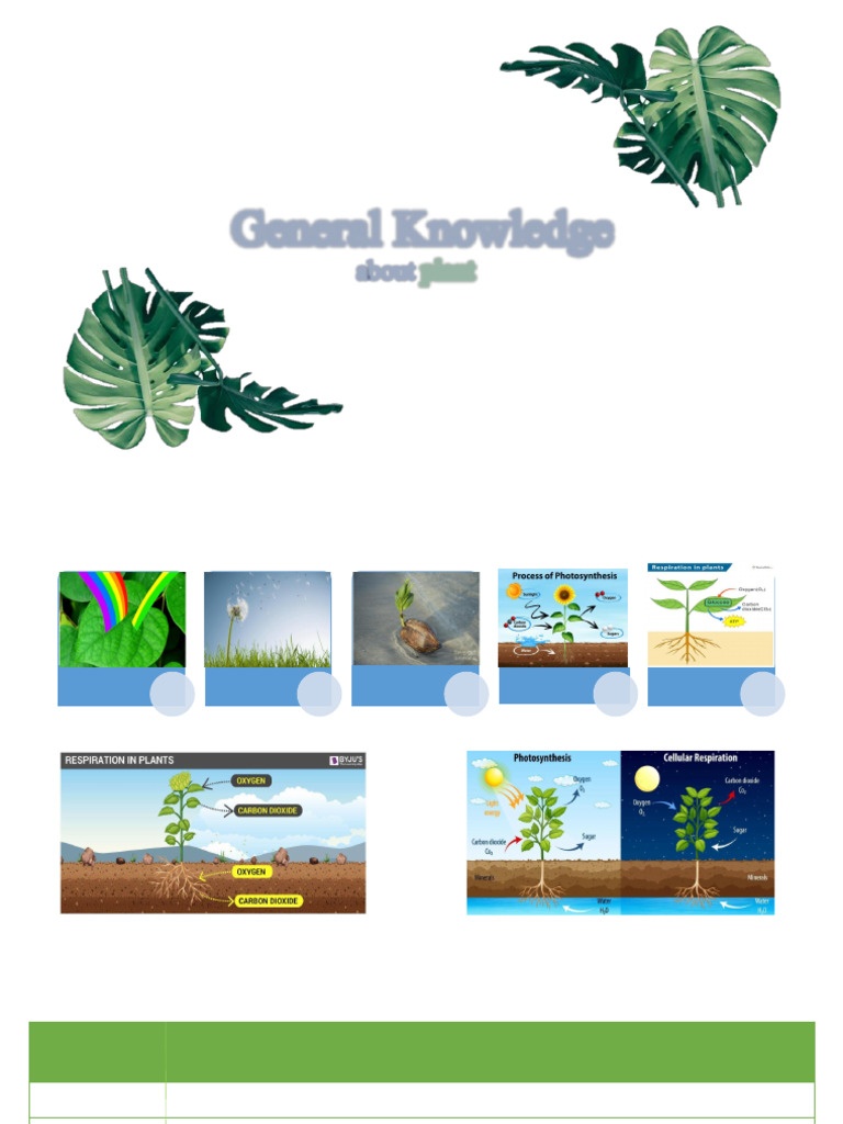 General Knowledge - Plants | PDF