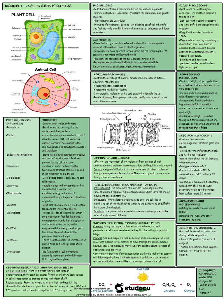 Bio Cheat Sheet Module 1 and Two Summary Notes | PDF | Cell (Biology ...