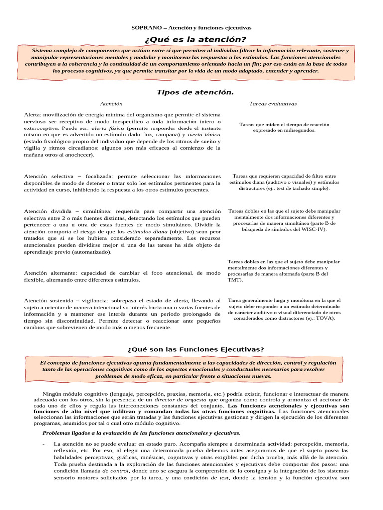 Funciones Ejecutivas | PDF | Atención | Memoria