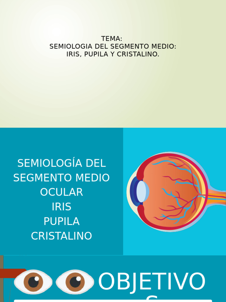 Semiología del Iris y Pupila Ocular | PDF | Ojo humano | Oftalmología
