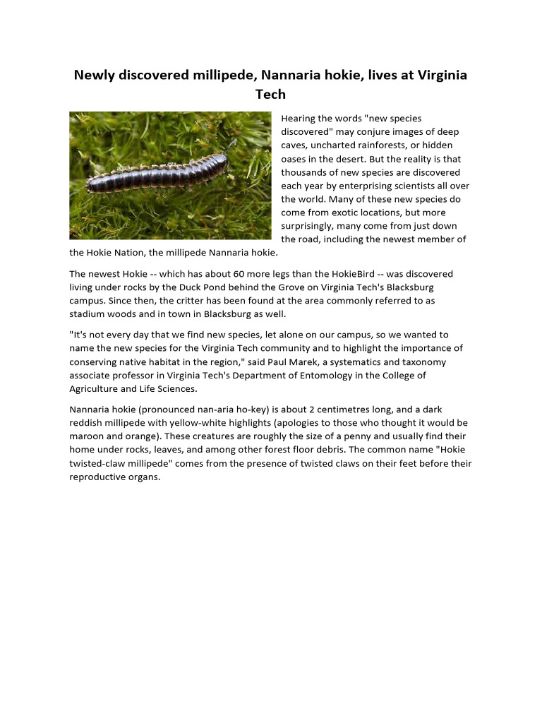 34 Read and Comprehend | PDF