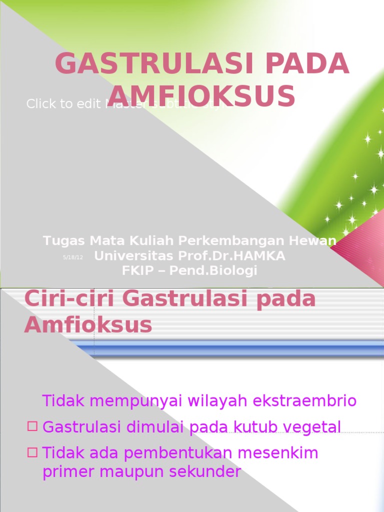 Gastrulasi Pada Amfioksus | PDF