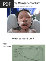 Burns Lecture Powerpoint | PDF | Burn | Clinical Medicine