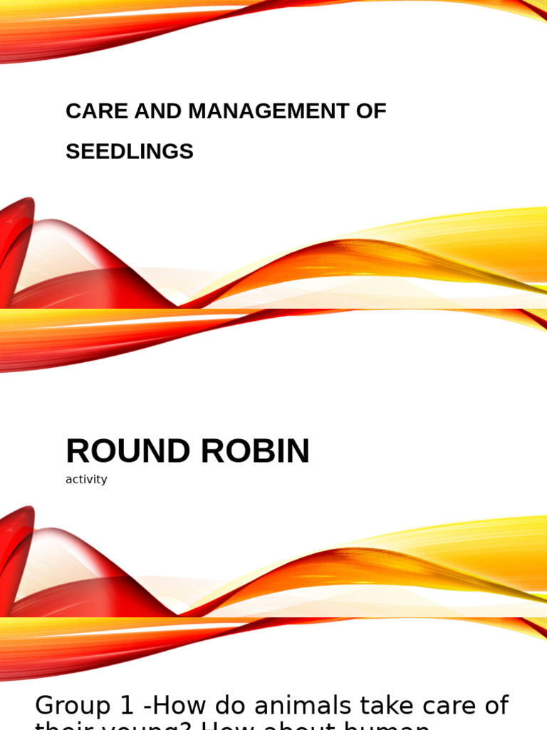 Seedling Care and Management Guide | PDF