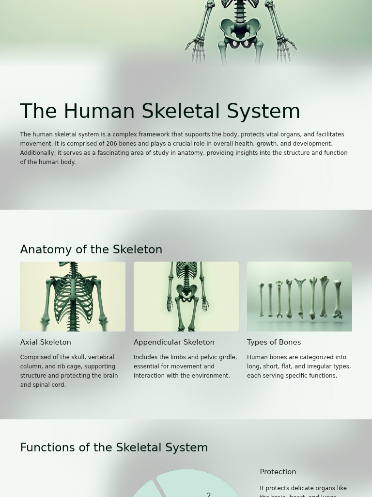 Understanding the Human Skeletal System | PDF | Bone | Joint