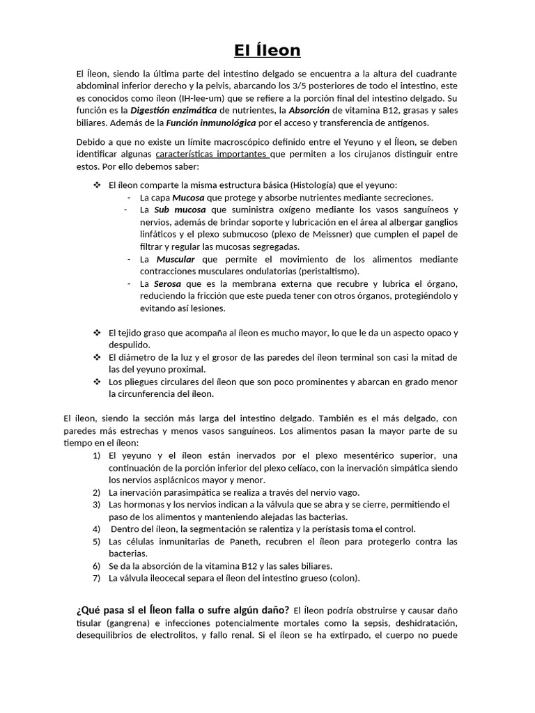 Ileon - Intestino Delgado | PDF | Tracto gastrointestinal | Intestino ...