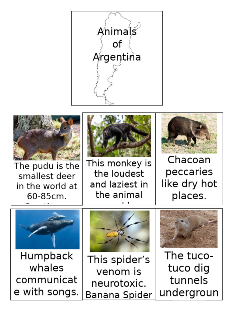 Argentina Animals | PDF