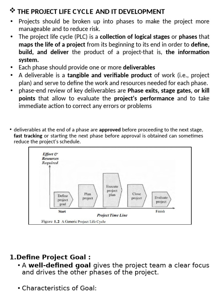 Project Life Cycle in IT Development | PDF | Project Management | Business