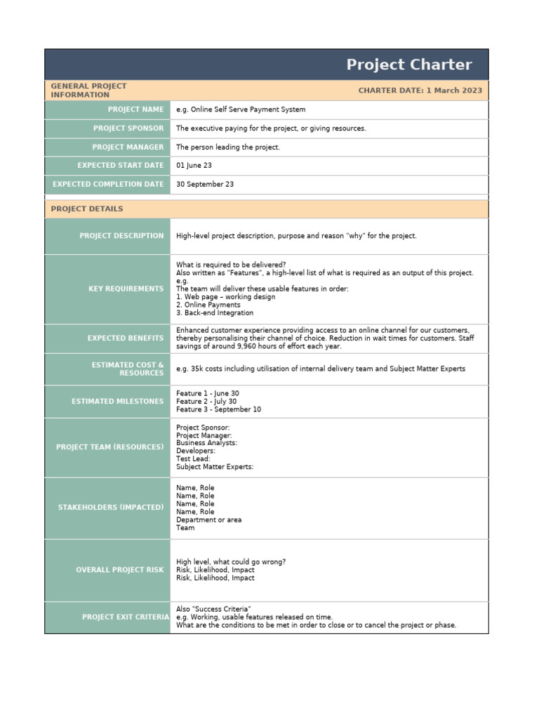 Project Charter Template Guide | PDF | Risk | Business