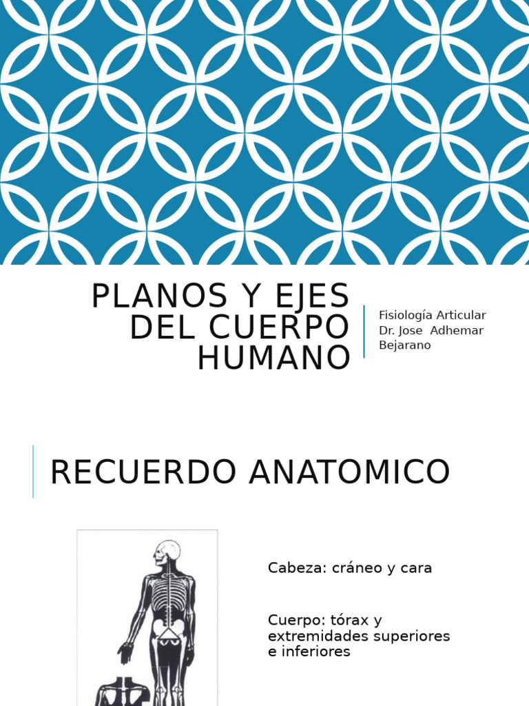 Planos y Ejes Del Cuerpo Humano | PDF | Articulación | Eje