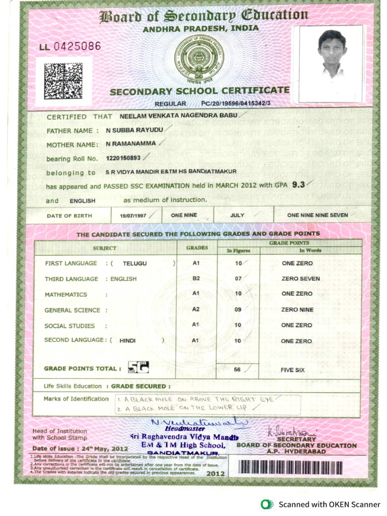 Board Certificate | PDF