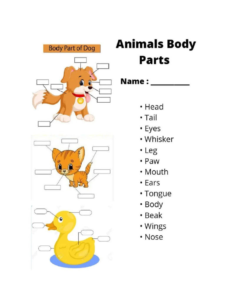 Parts of Animals | PDF