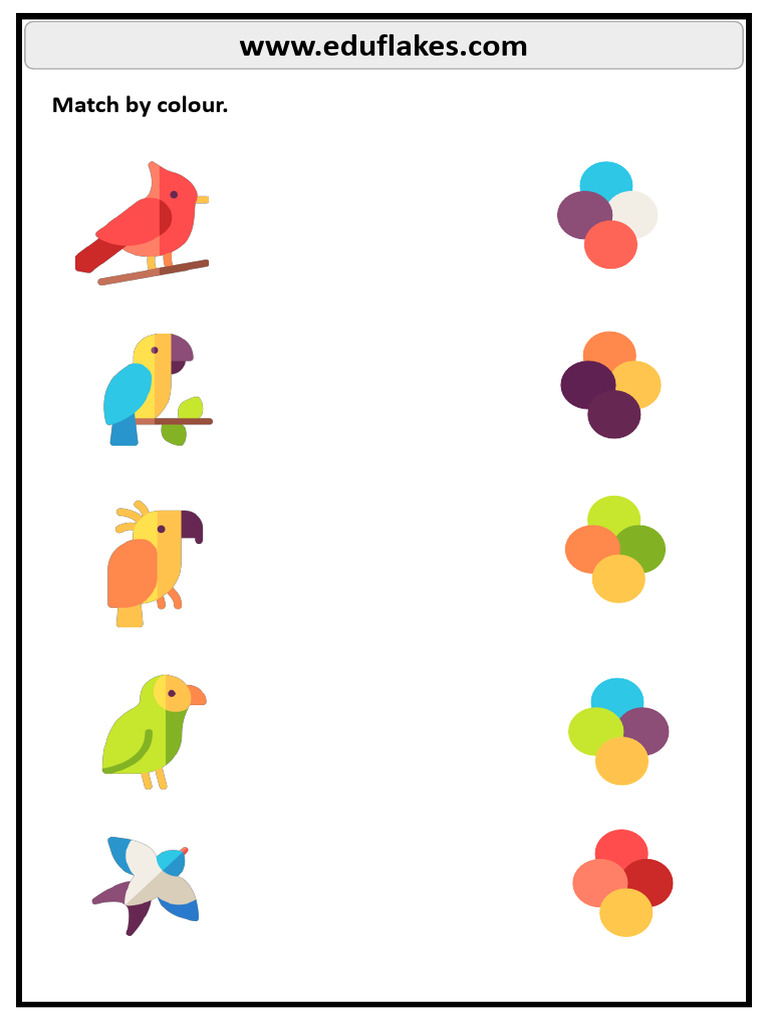 Visual Perception | PDF