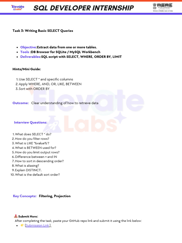 SQL Developer Internship Guide | PDF