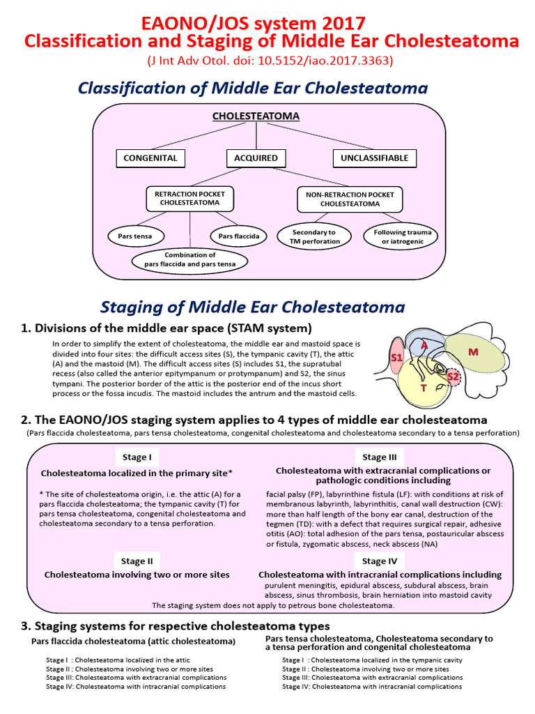Middle Ear Cholesteatoma Classification | PDF | Ear | Primate Anatomy