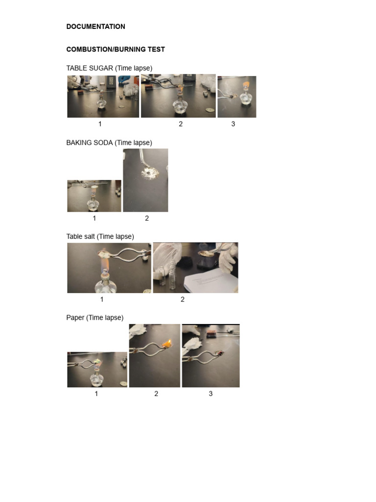 Combustion Burning Test | PDF