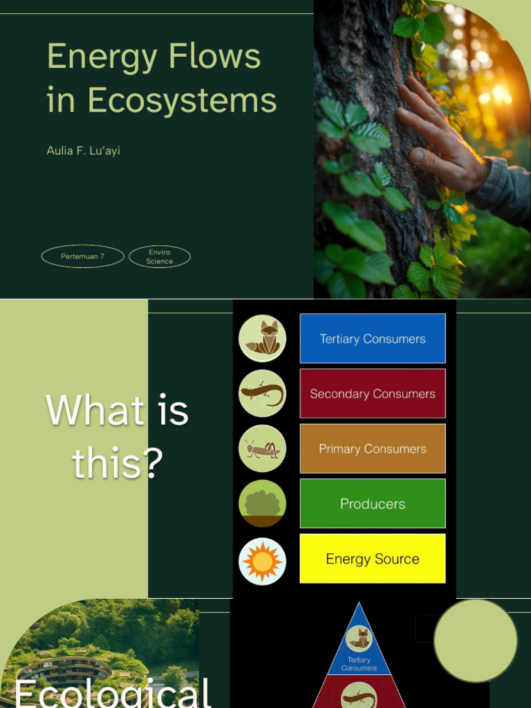 Ilmu Lingkungan Pert 7 (Energy Flows in Ecosystems) | PDF