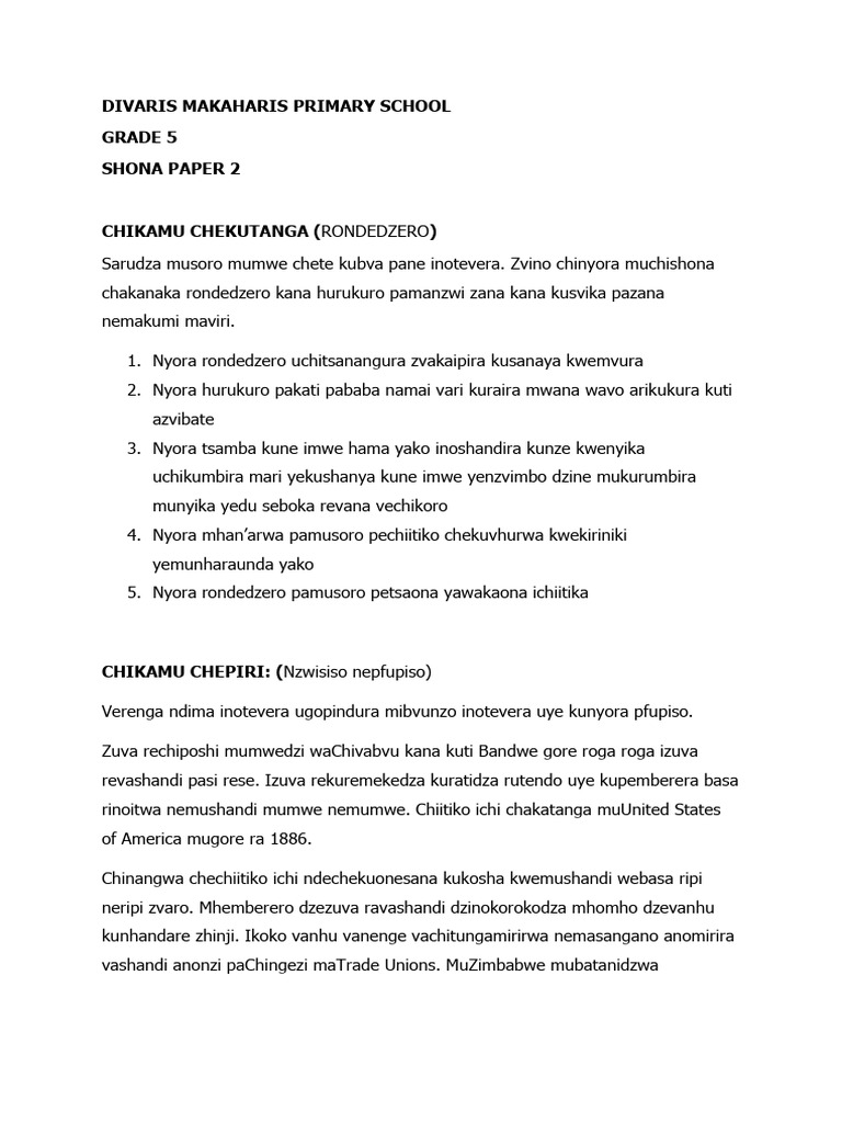 Grade 5 Shona Writing Prompts | PDF